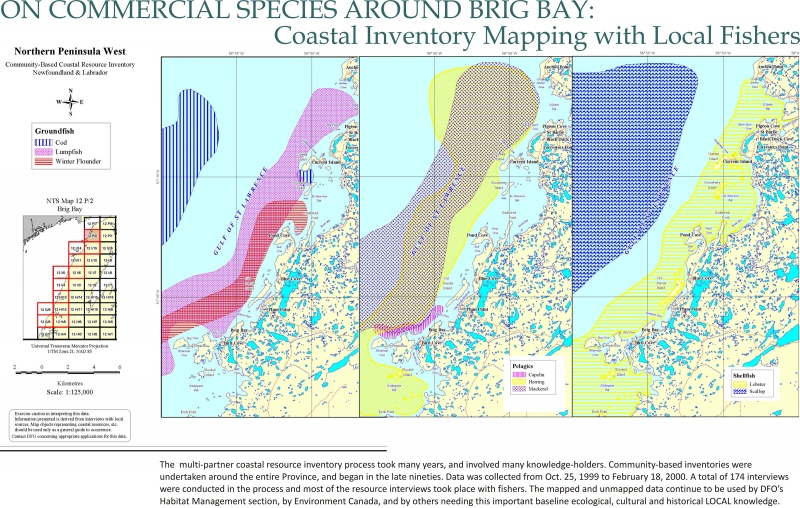 On Commercial Species Around Brig Bay › Towards an Encyclopedia of ...