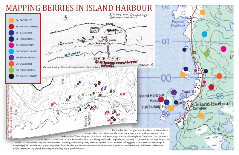 Mapping Berries in Island Harbour › Towards an Encyclopedia of Local ...