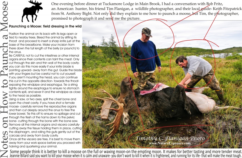 Notes on How to Paunch a Moose › Towards an Encyclopedia of Local Knowledge