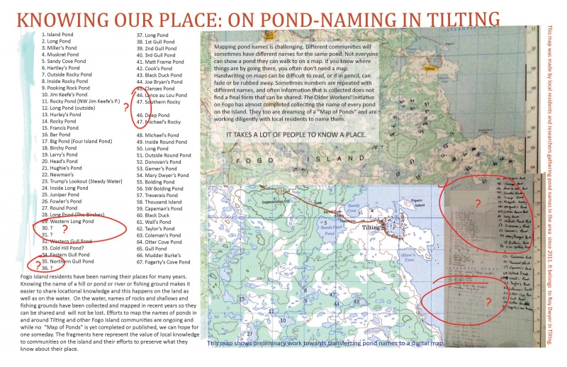 Knowing Our Place: On Pond-Naming in Tilting › Towards an Encyclopedia ...