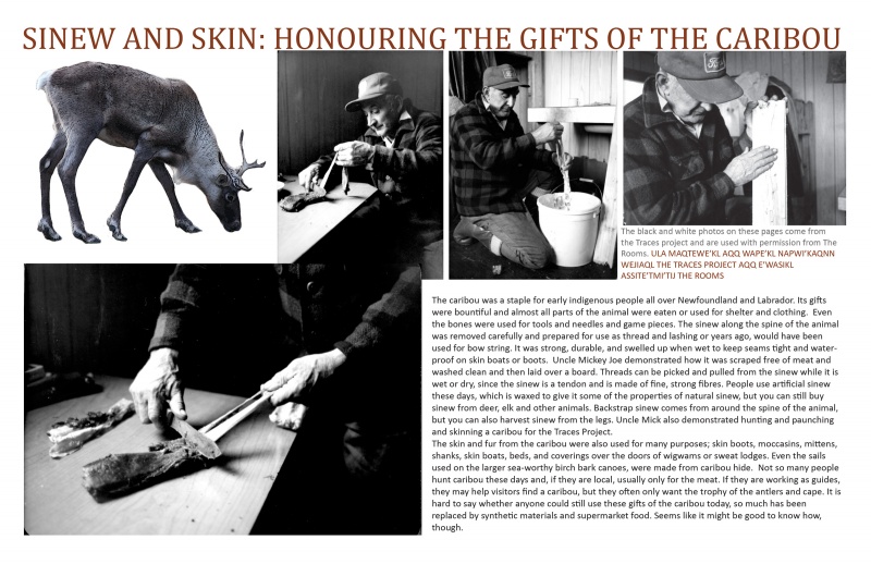 Sinew and Skin: Honouring the Gifts of the Caribou › Towards an ...