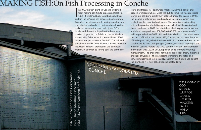 Making Fish: On Fish Processing in Conche › Towards an Encyclopedia of ...