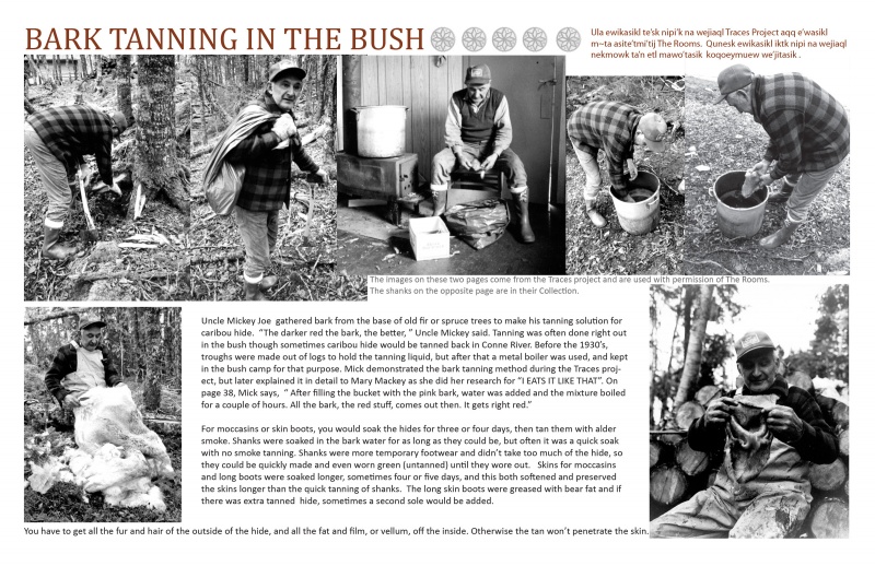 Bark Tanning in the Bush › Towards an Encyclopedia of Local Knowledge