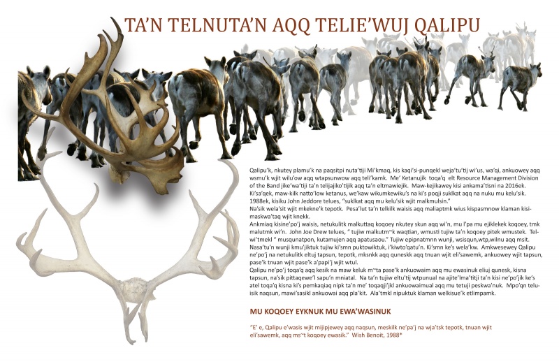 Chapter 3 Pages › Towards an Encyclopedia of Local Knowledge