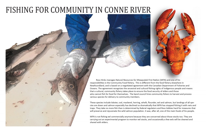 Fishing for Community in Conne River › Towards an Encyclopedia of Local ...