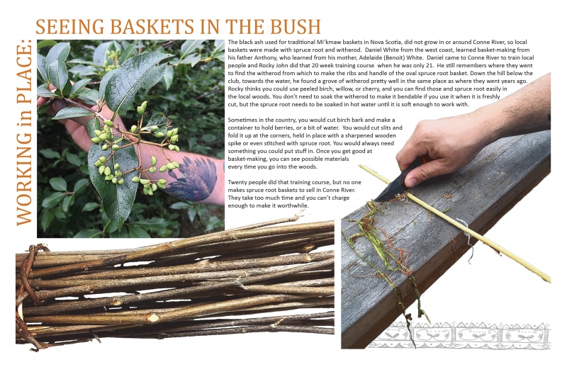 Working in Place: Seeing Baskets in the Bush › Towards an Encyclopedia ...