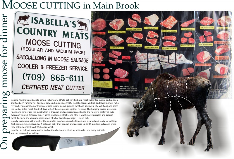 On preparing moose for dinner: Moose Cutting in Main Brook › Towards an ...
