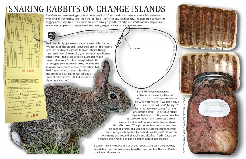 Snaring Rabbits on Change Islands › Towards an Encyclopedia of Local ...