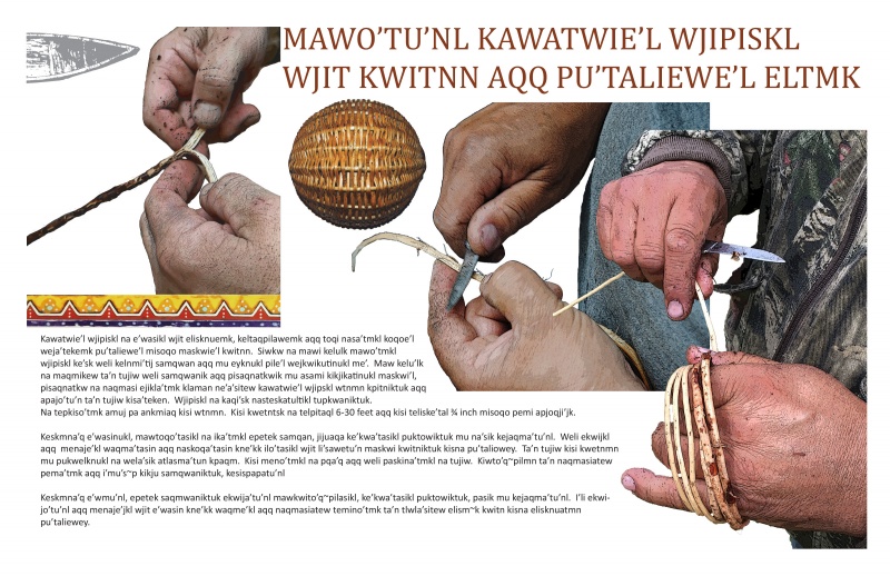 spruce root › Towards an Encyclopedia of Local Knowledge