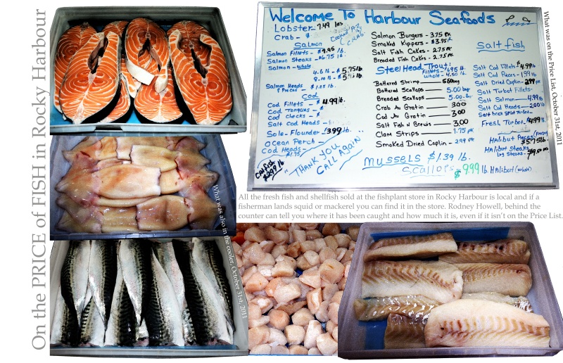 On the Price of Fish in Rocky Harbour › Towards an Encyclopedia of ...